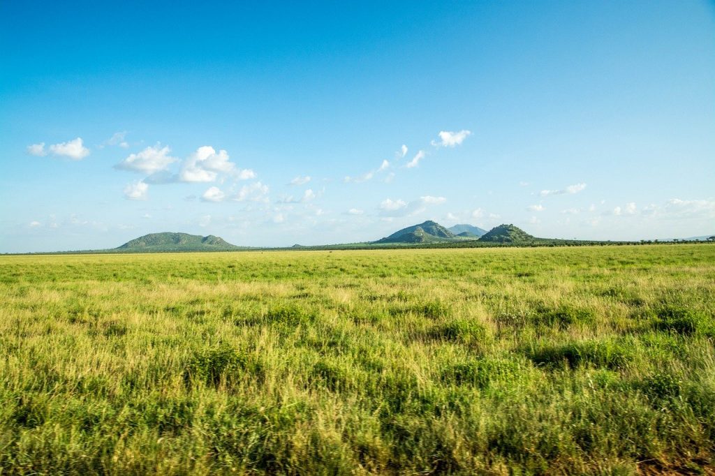 What is a Steppe? – Steppe